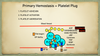 Primary Hemostasis Pathway: Definition and Platelet Plug Formation with ...
