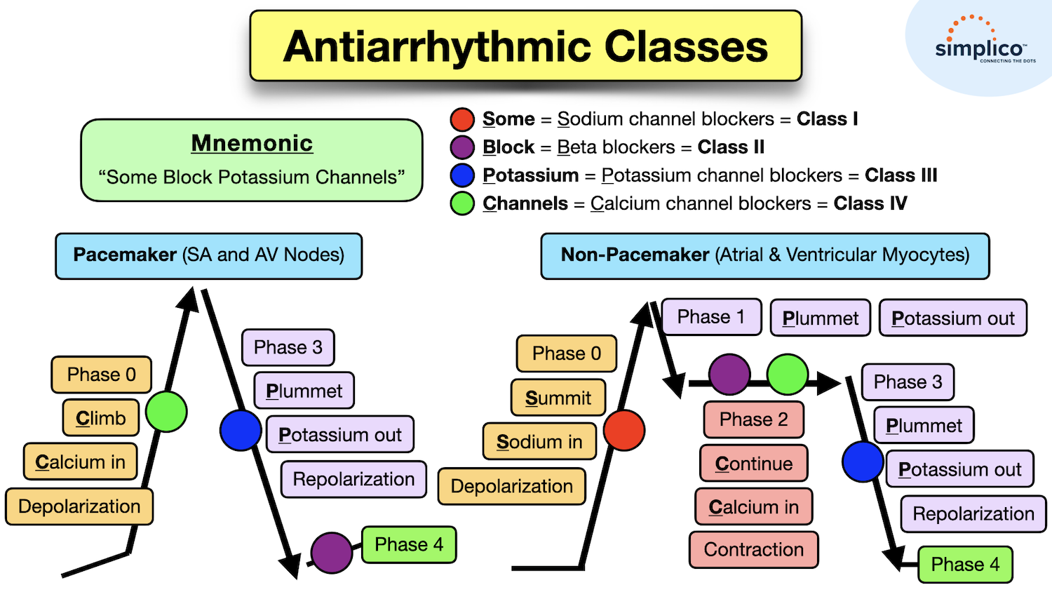 Antiarrhythmic Drugs | List of Medication Classes and Examples — Simplico