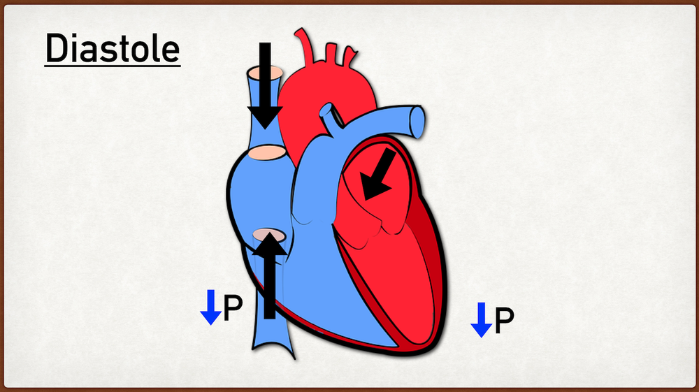 Cardiac Cycle Phases and Blood Flow: Step-By-Step Heart Diagram — Simplico