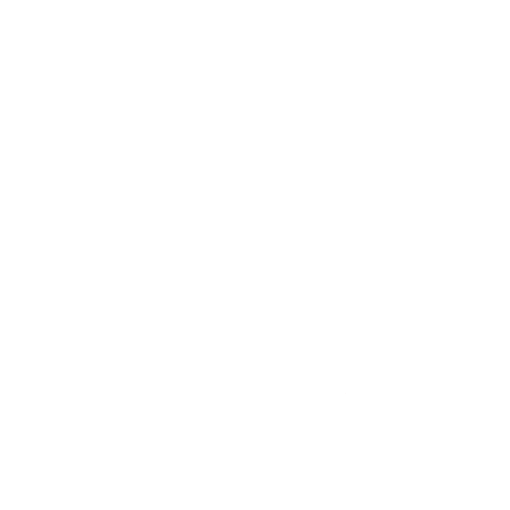 OBSERVER - A new film from Ian Cheney and the Wonder Collaborative