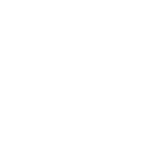 OBSERVER - A new film from Ian Cheney and the Wonder Collaborative