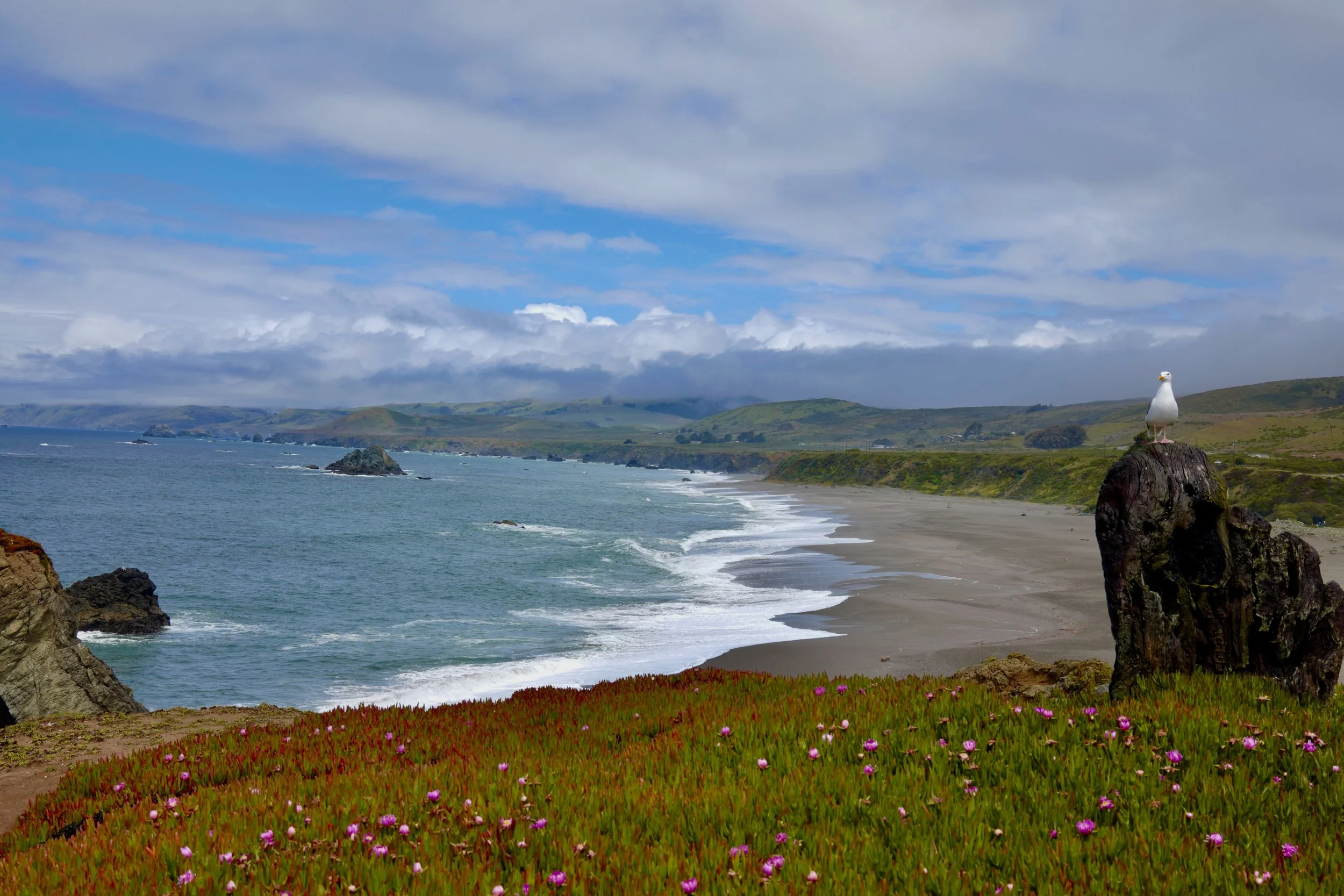 Trauma-informed care | Discover Trauma-Informed Healing — Sierra Pathways