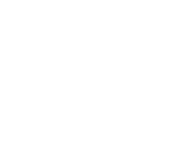 Everlink