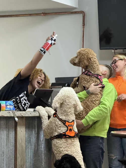 Bark 'n Brews Dog Park and Bar