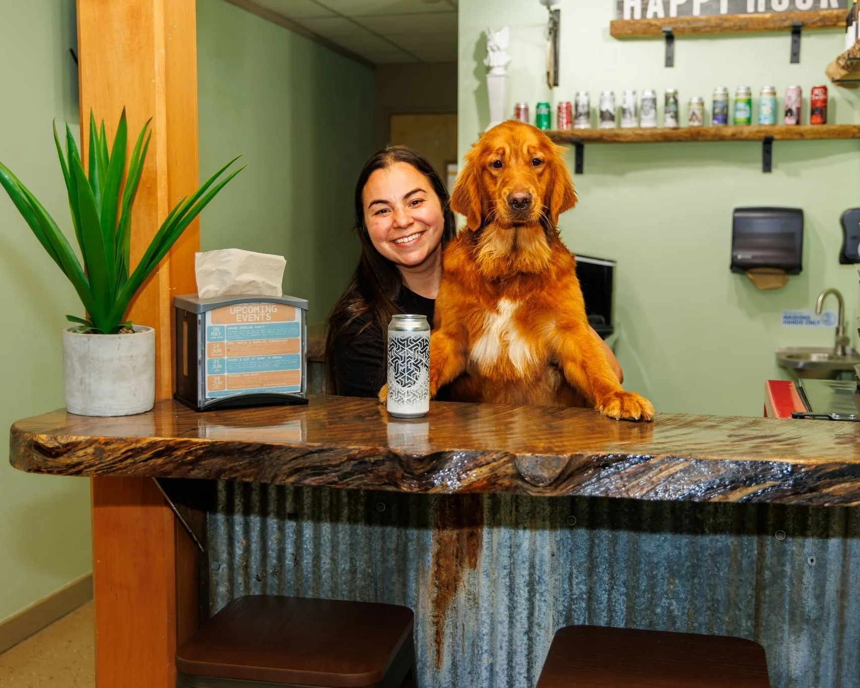 Bark 'n Brews Dog Park and Bar