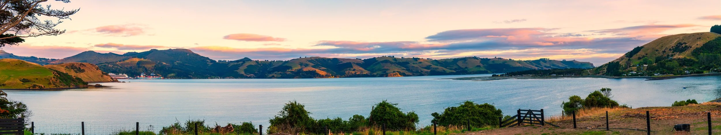 Roselle Farm Accommodation | Otago Peninsula | Dunedin | Book Your ...