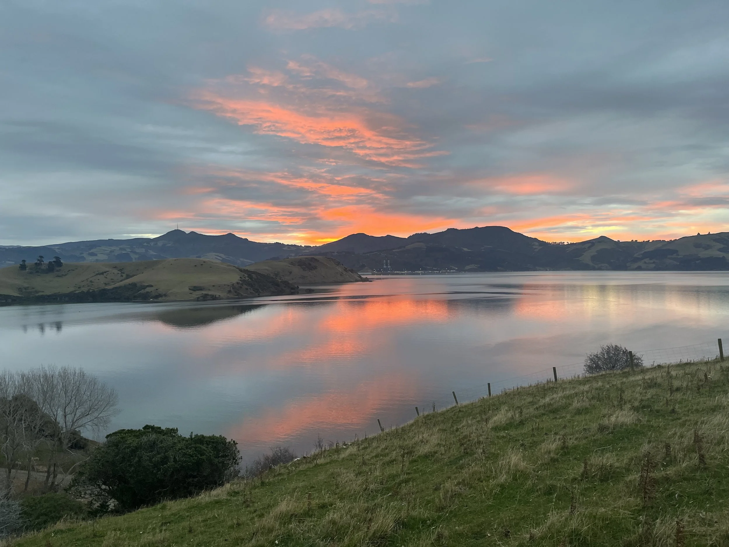 Contact | Get in Touch Today — Roselle Farm Accommodation