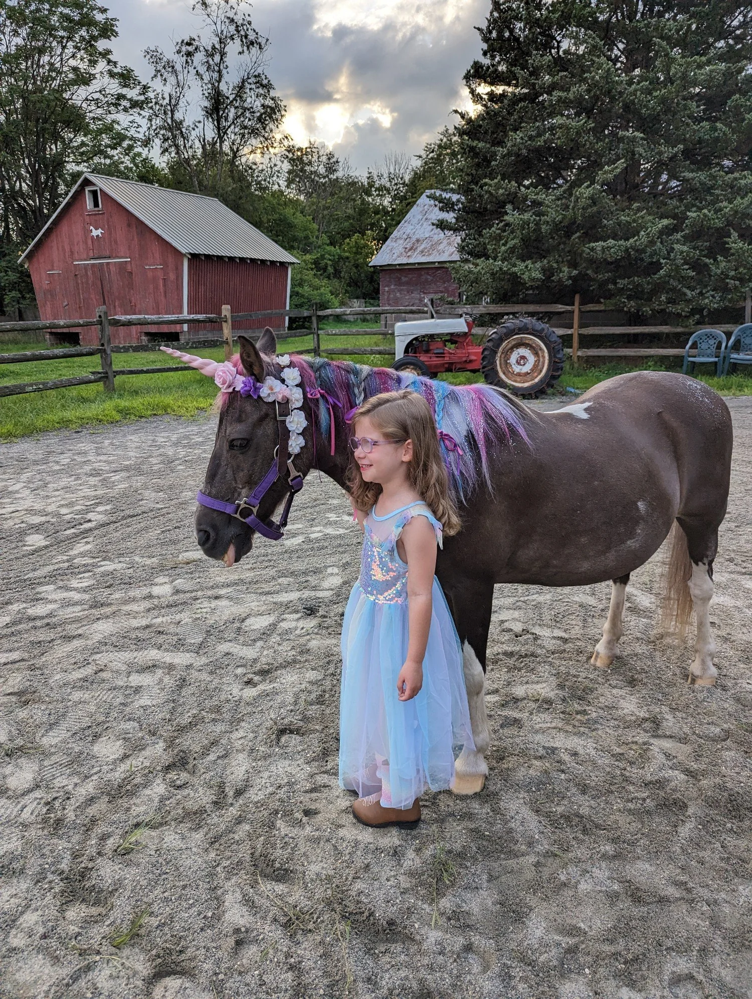 Winding Brook Farm Ponies