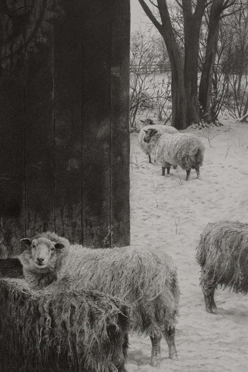 Terry Miller — McBride Gallery