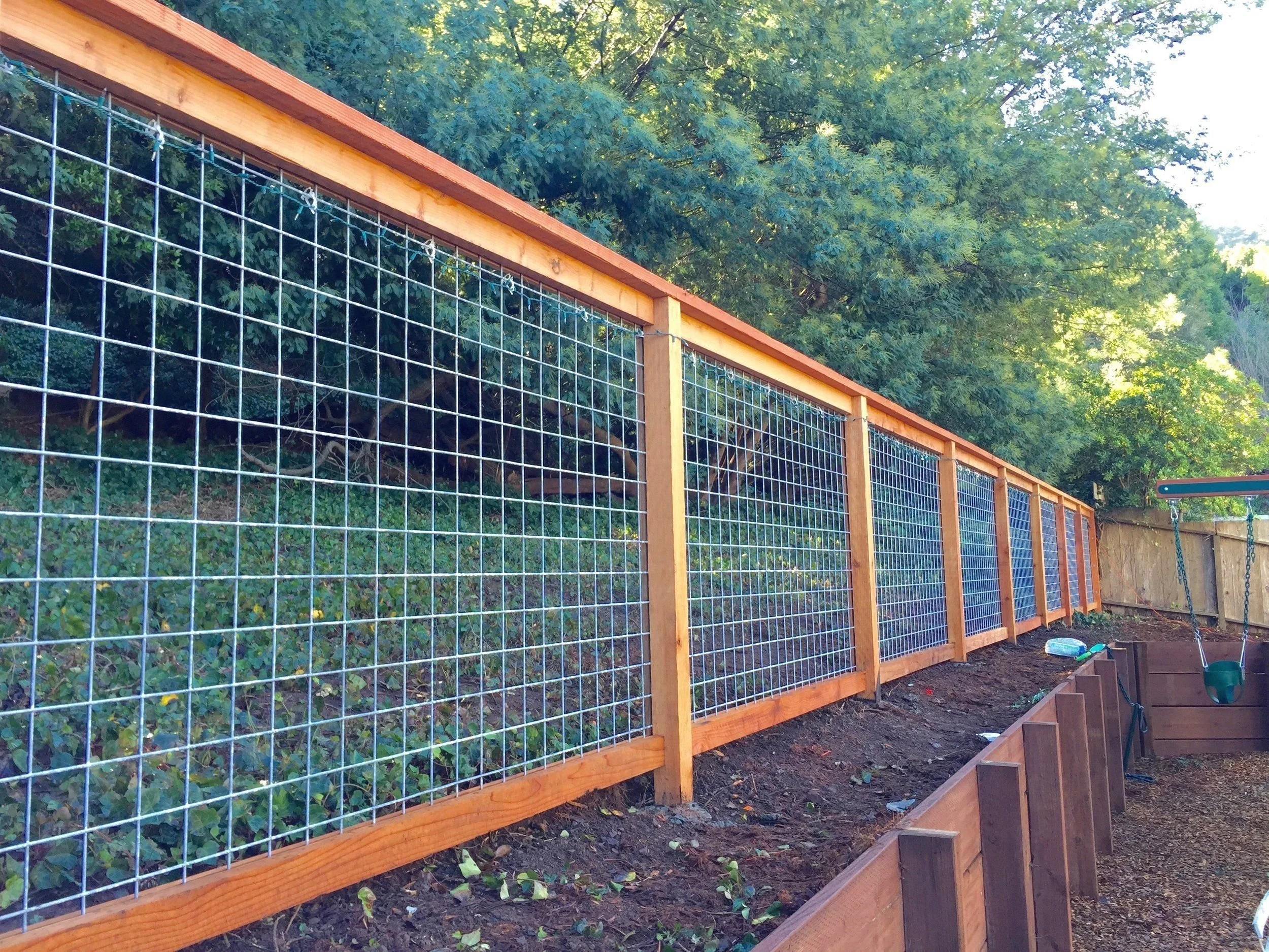 Hawk Fencing