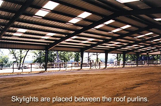 Metal Building Skylights: Natural Light for Steel Buildings — Steel ...