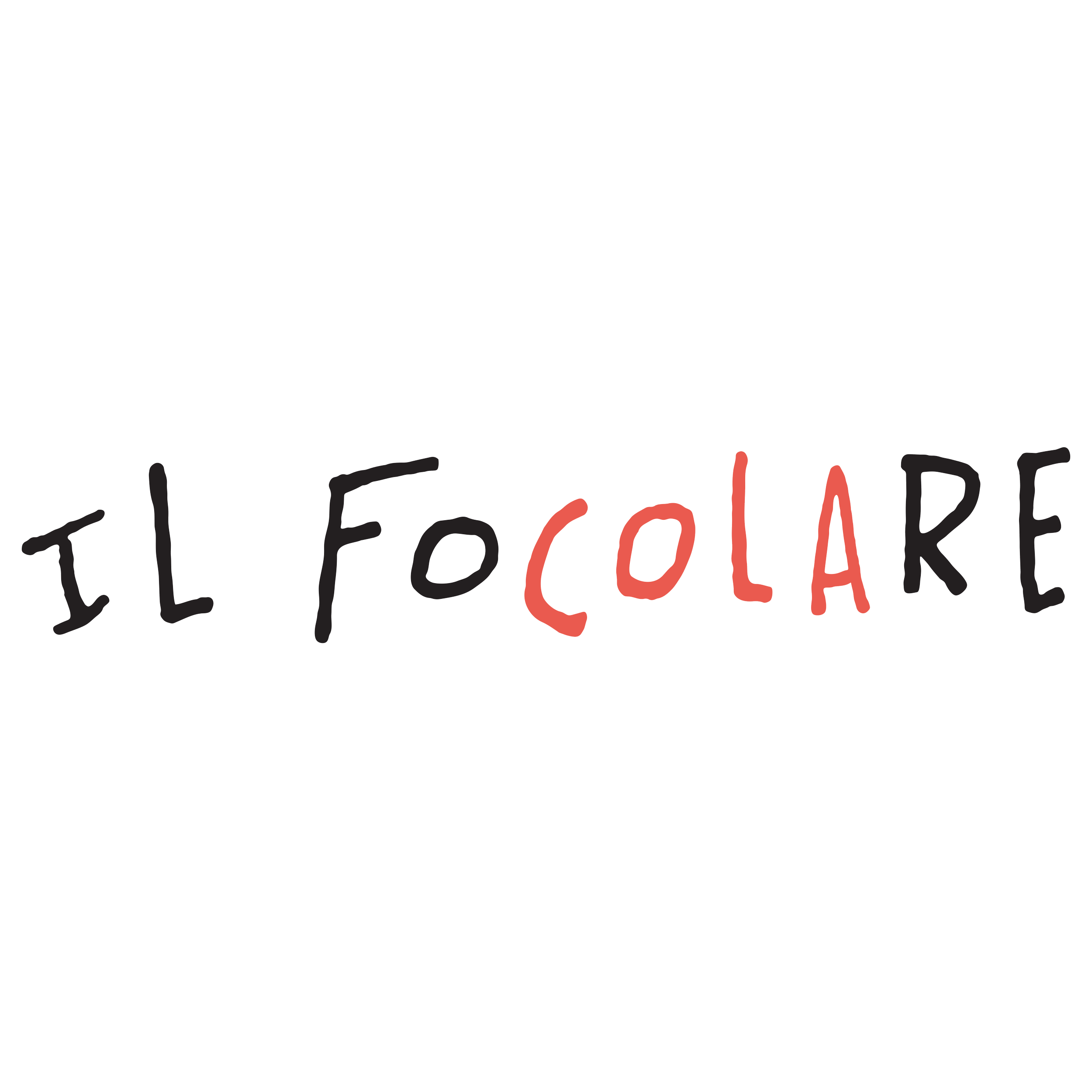 il Focolare Pizzeria