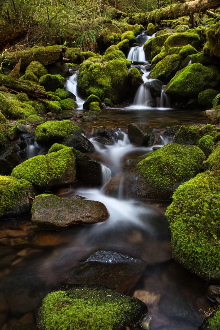 Striped Moon Studios