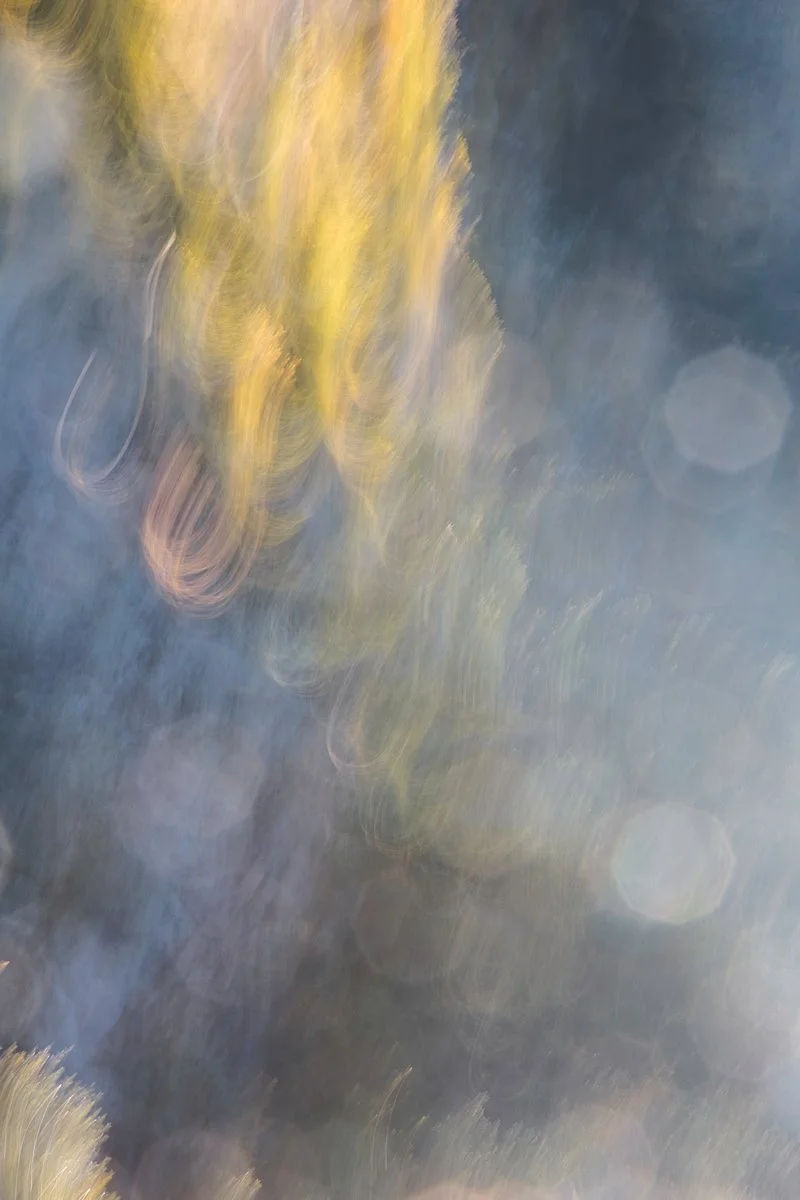 Striped Moon Studios