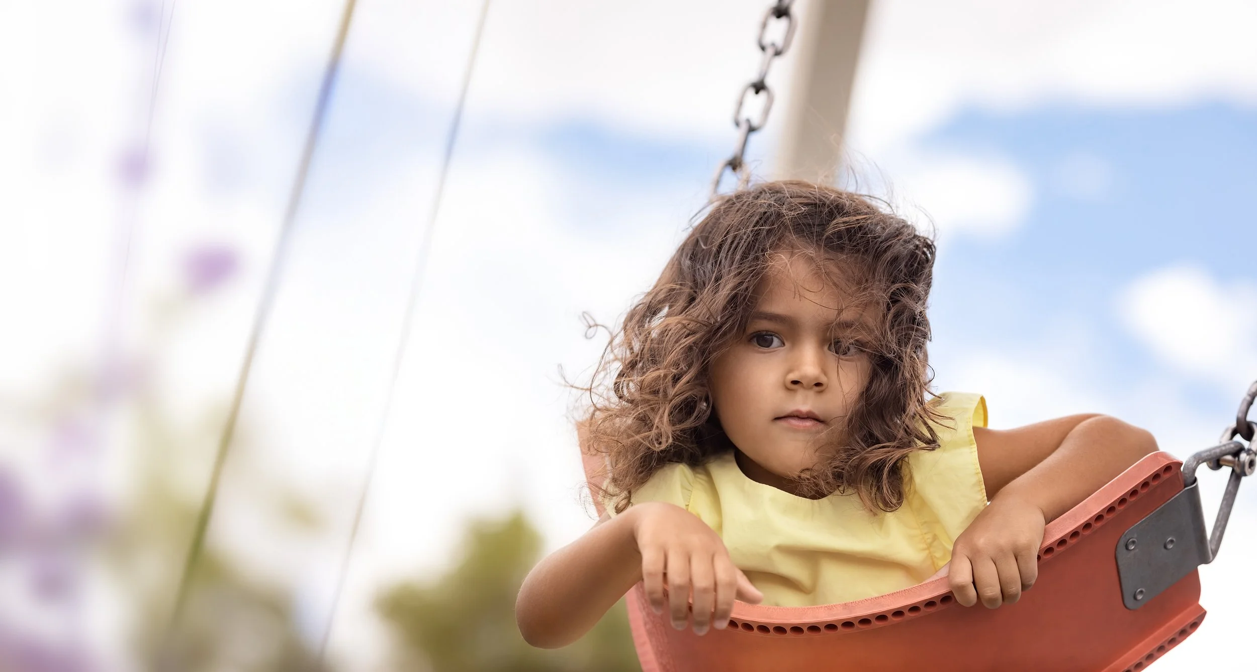 NMT Assessments — SAL Consulting