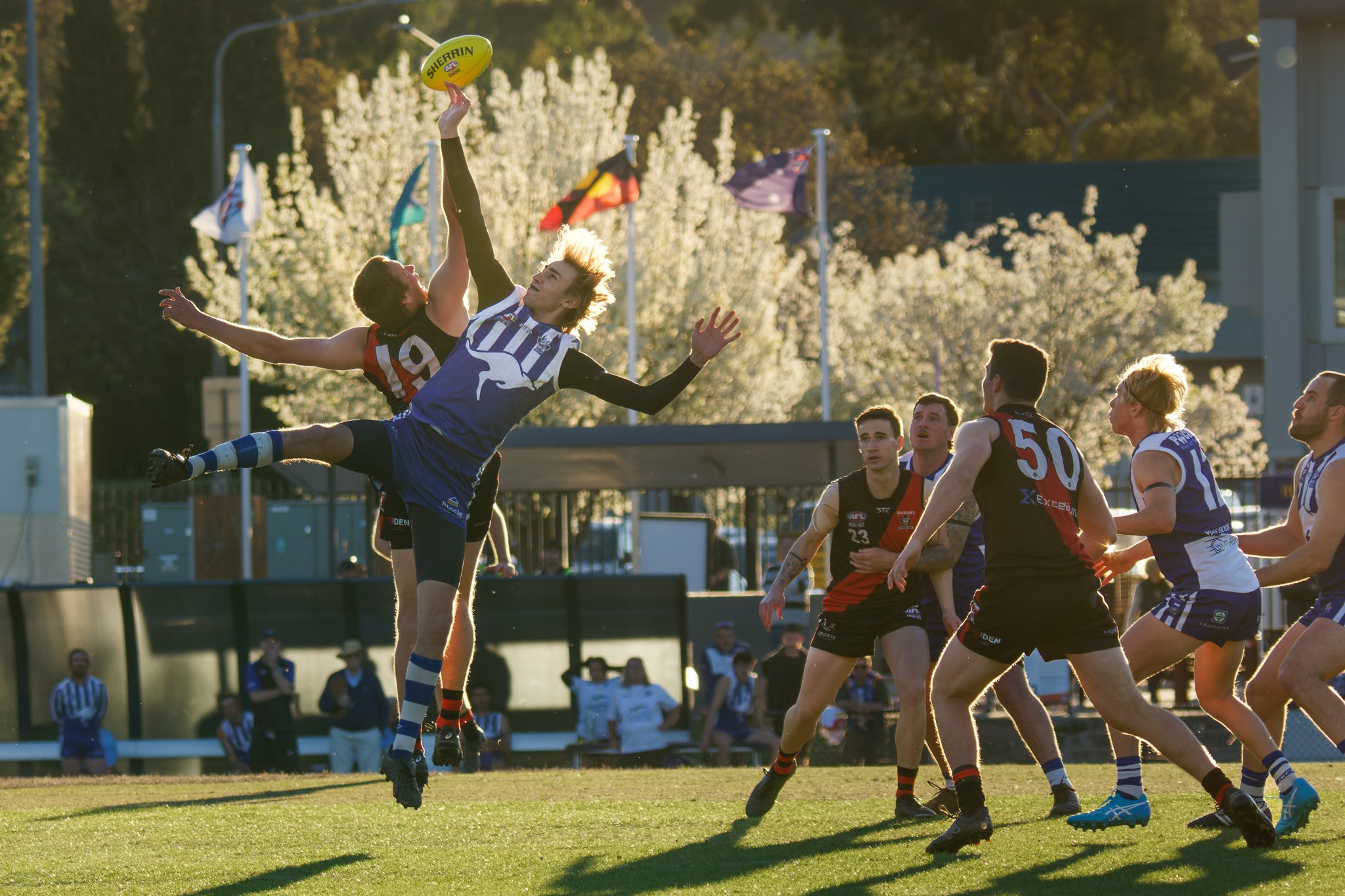 Lyle’s Lens | Strategic Sports Media & Operational Storytelling (Canberra)