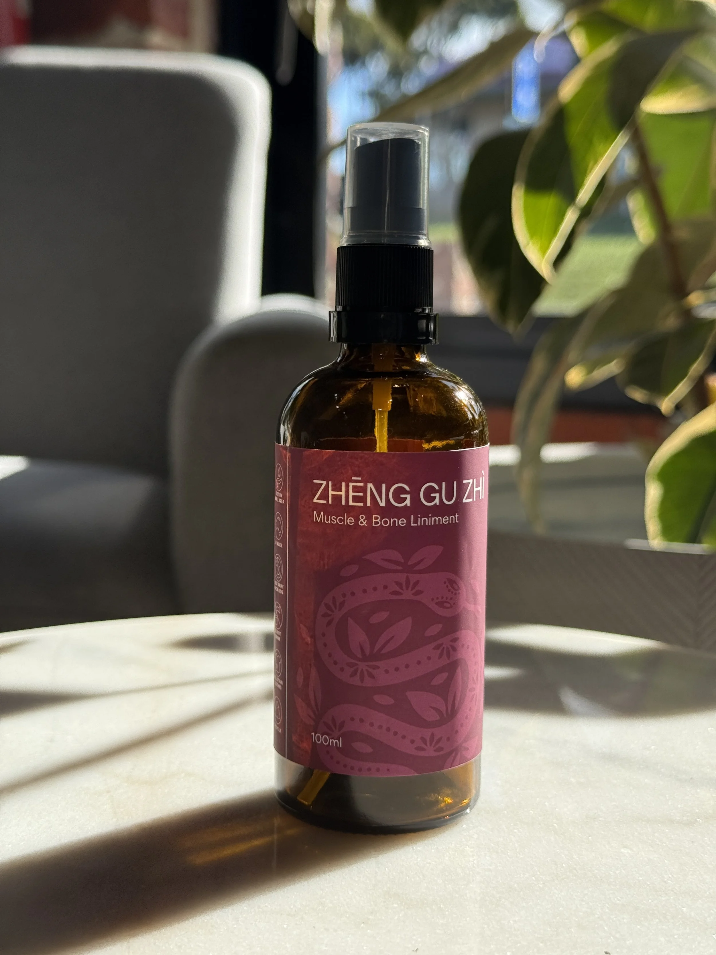 The Legendary Zheng Gu Shui: From Ancient Battlefields to Modern Muscle ...