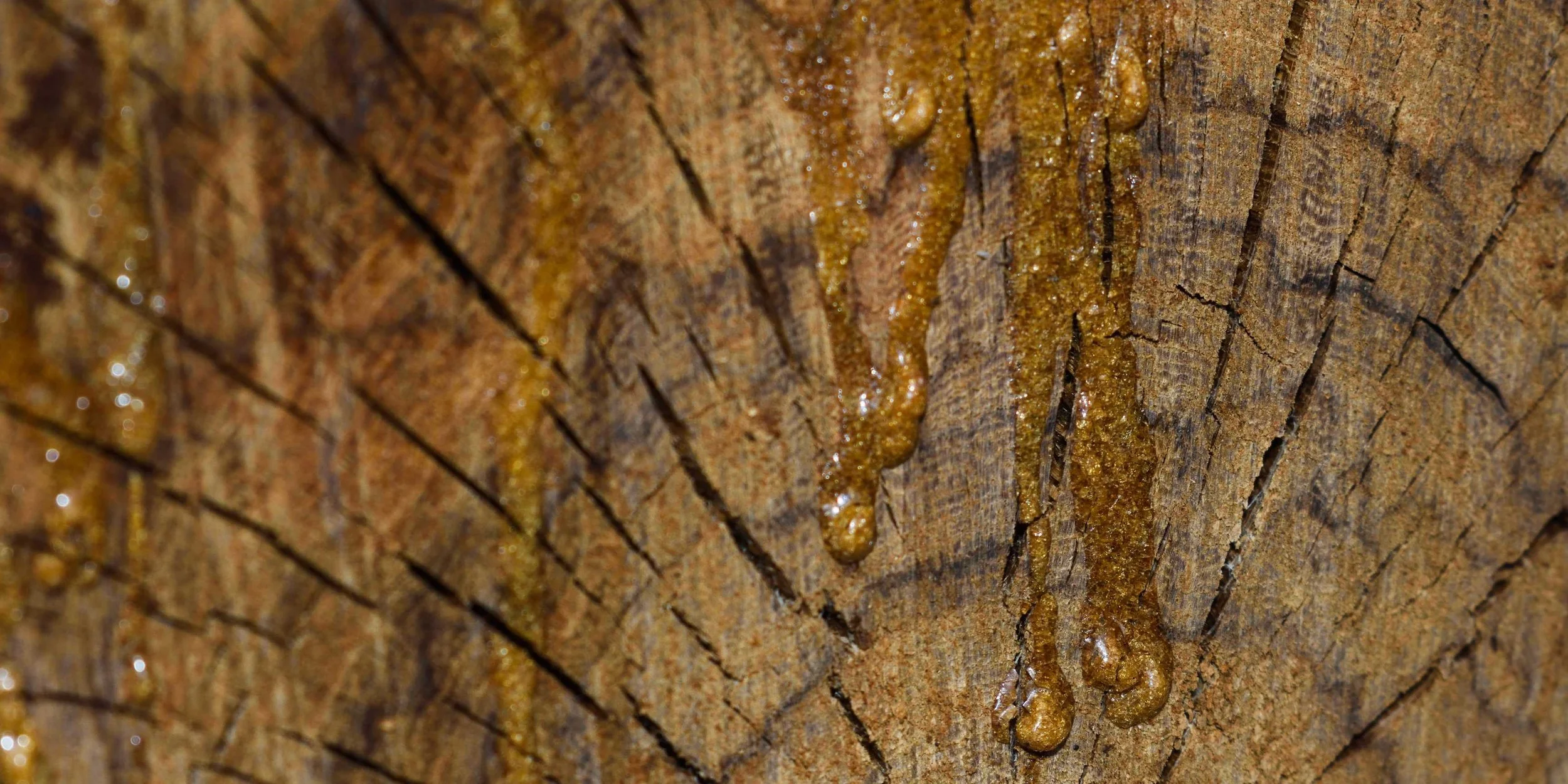 Laser Cutting & Engraving Wood | Tips and Tricks — Focused Laser Systems