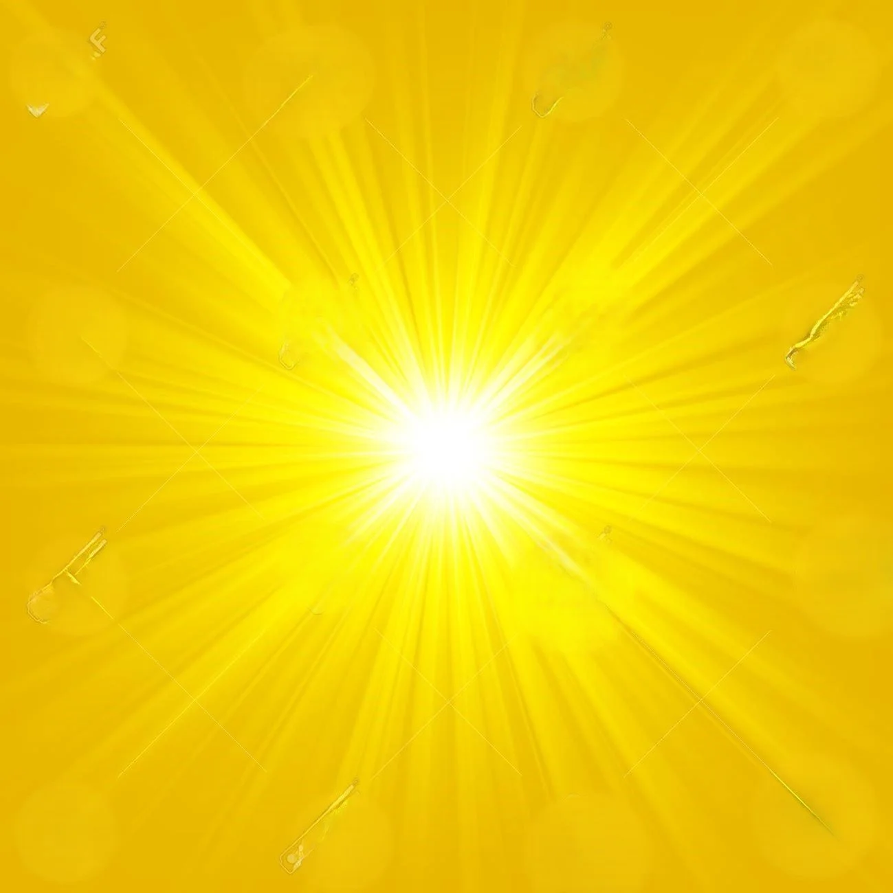Shine School