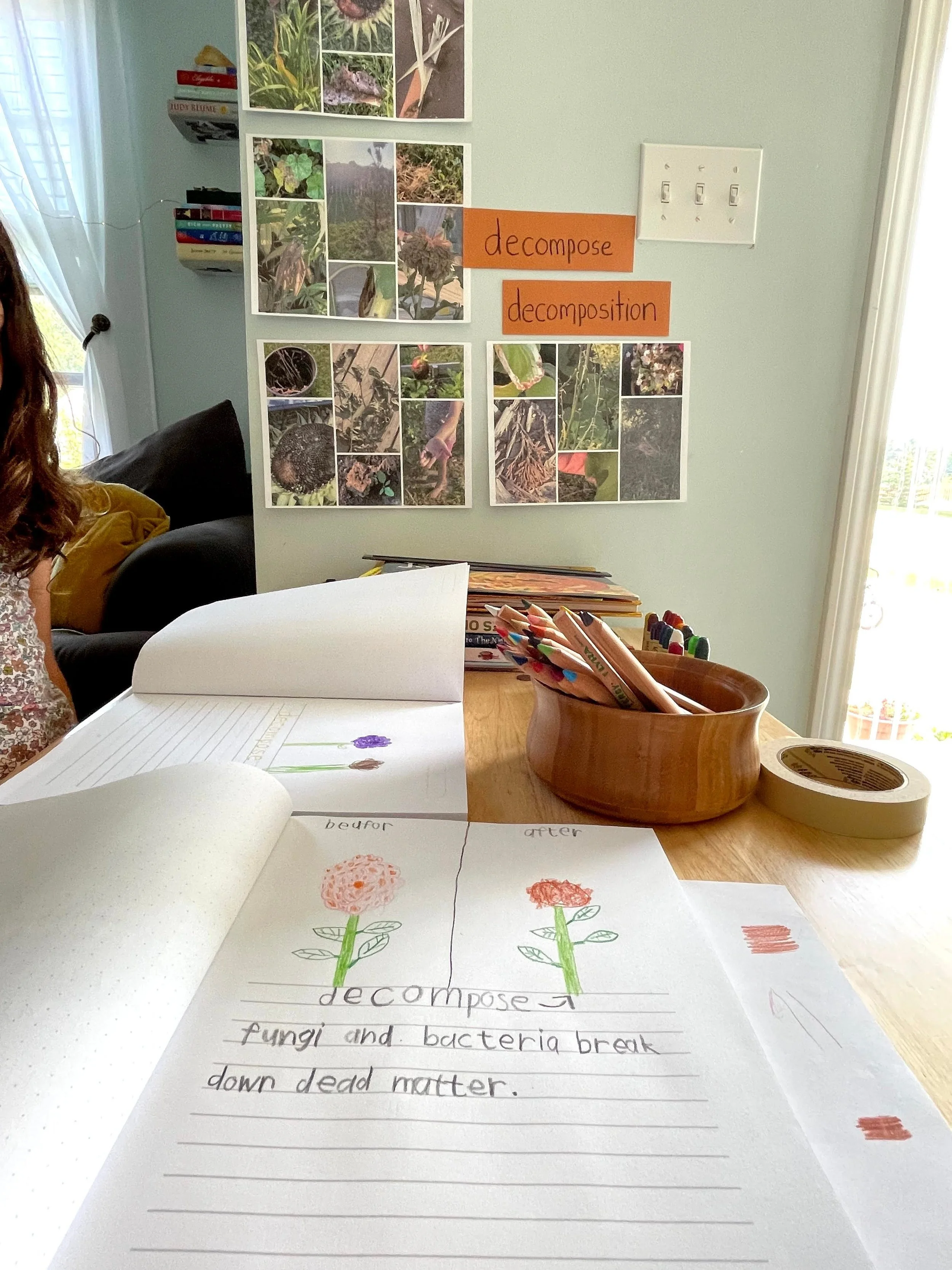What Is Notebooking? A Guide to Empowering Learning Through Creativity ...