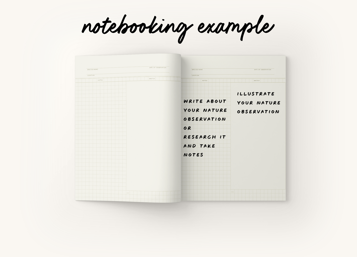 Nature Notebook — Schoolnest