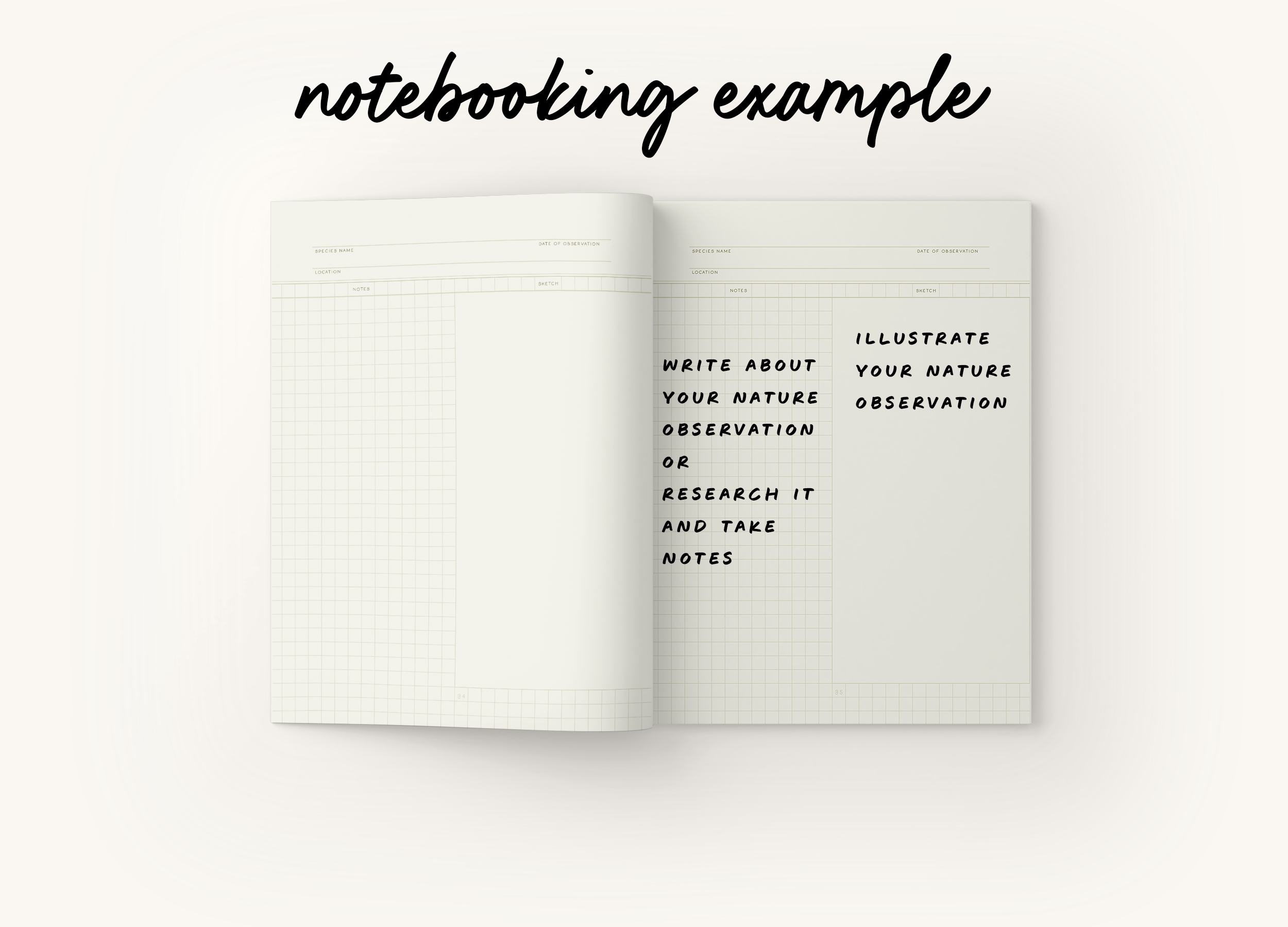 Nature Notebook — Schoolnest