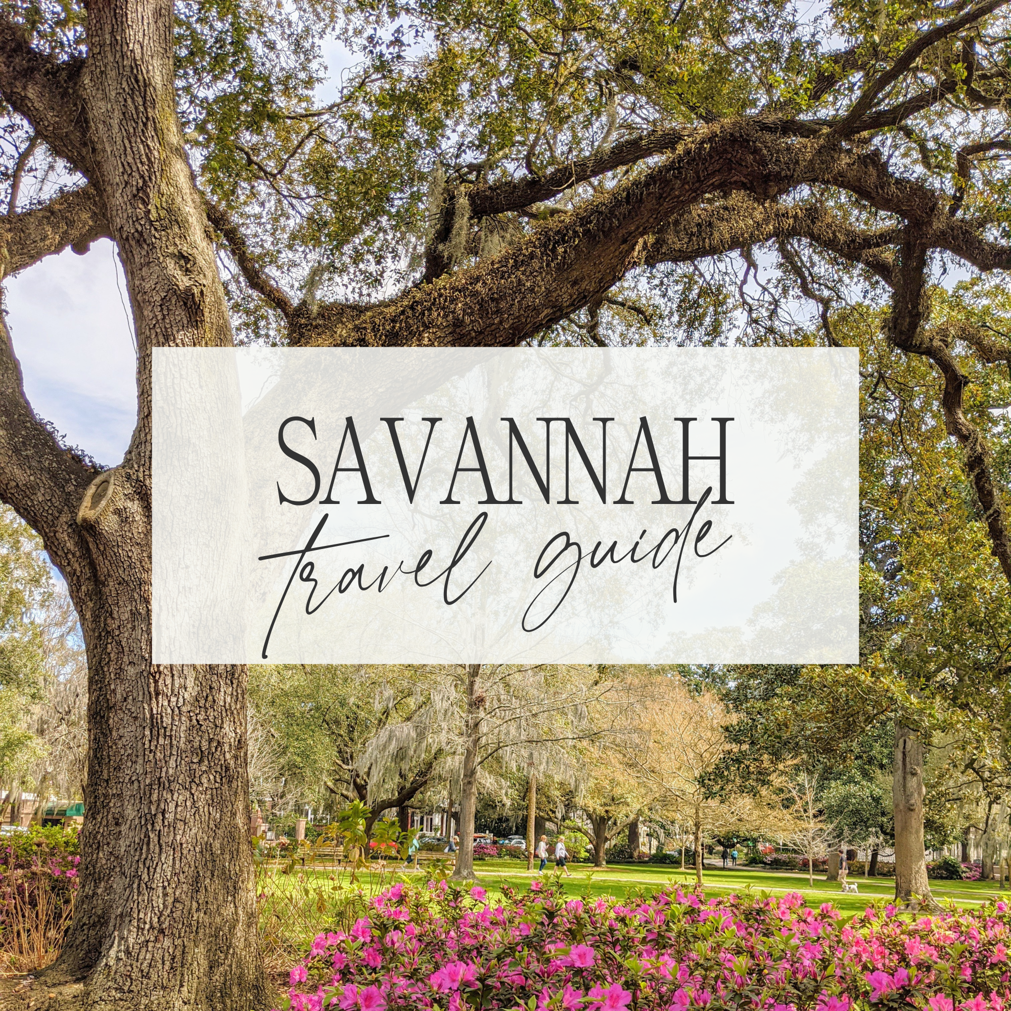 Savannah Travel Guide | Best Hotels, Restaurants & Things to Do ...