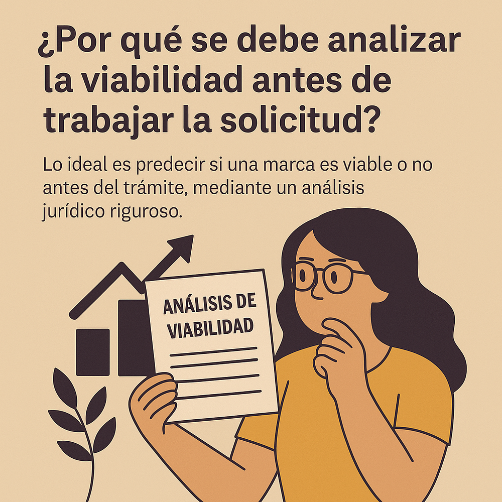 ¿Por qué es importante hacer un análisis de viabilidad antes de ...