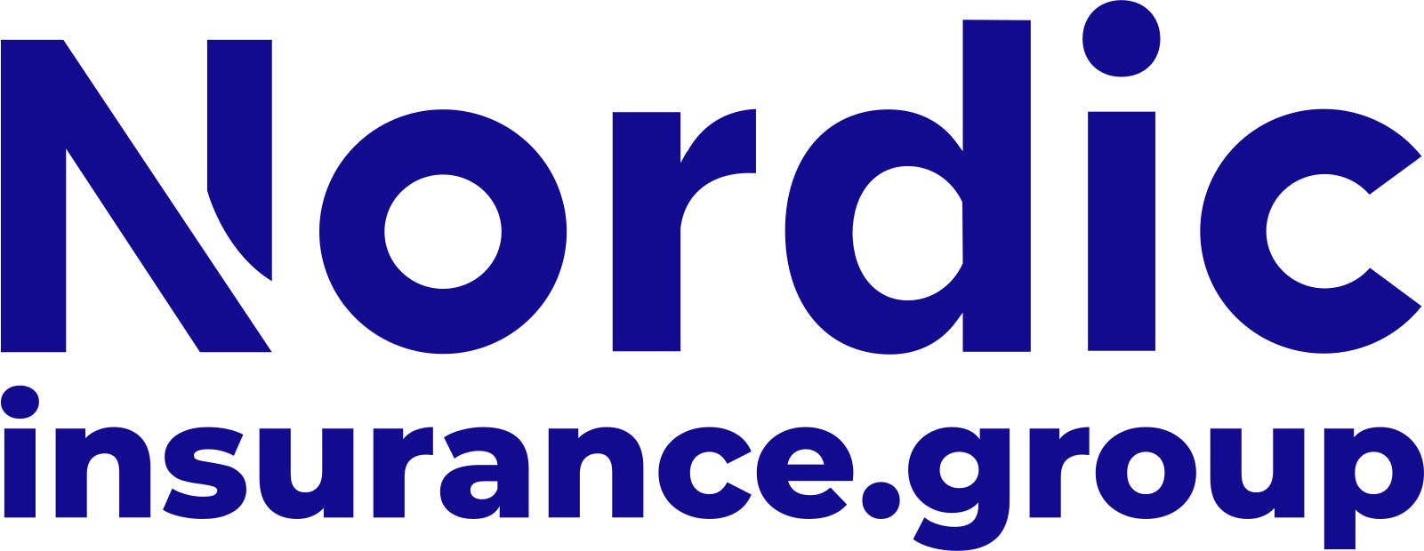 Nordic Insurance Group 29-01-2025