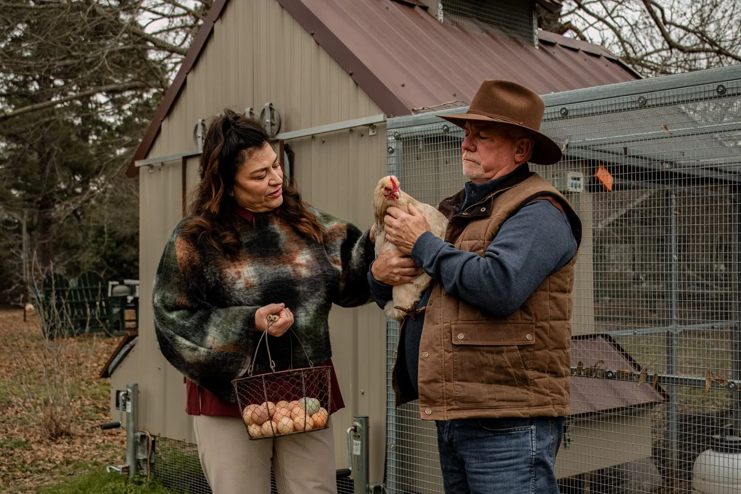 About — Chick Chick Coop