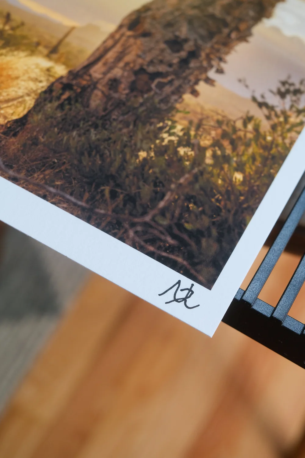 Shop All — SEXYLAND