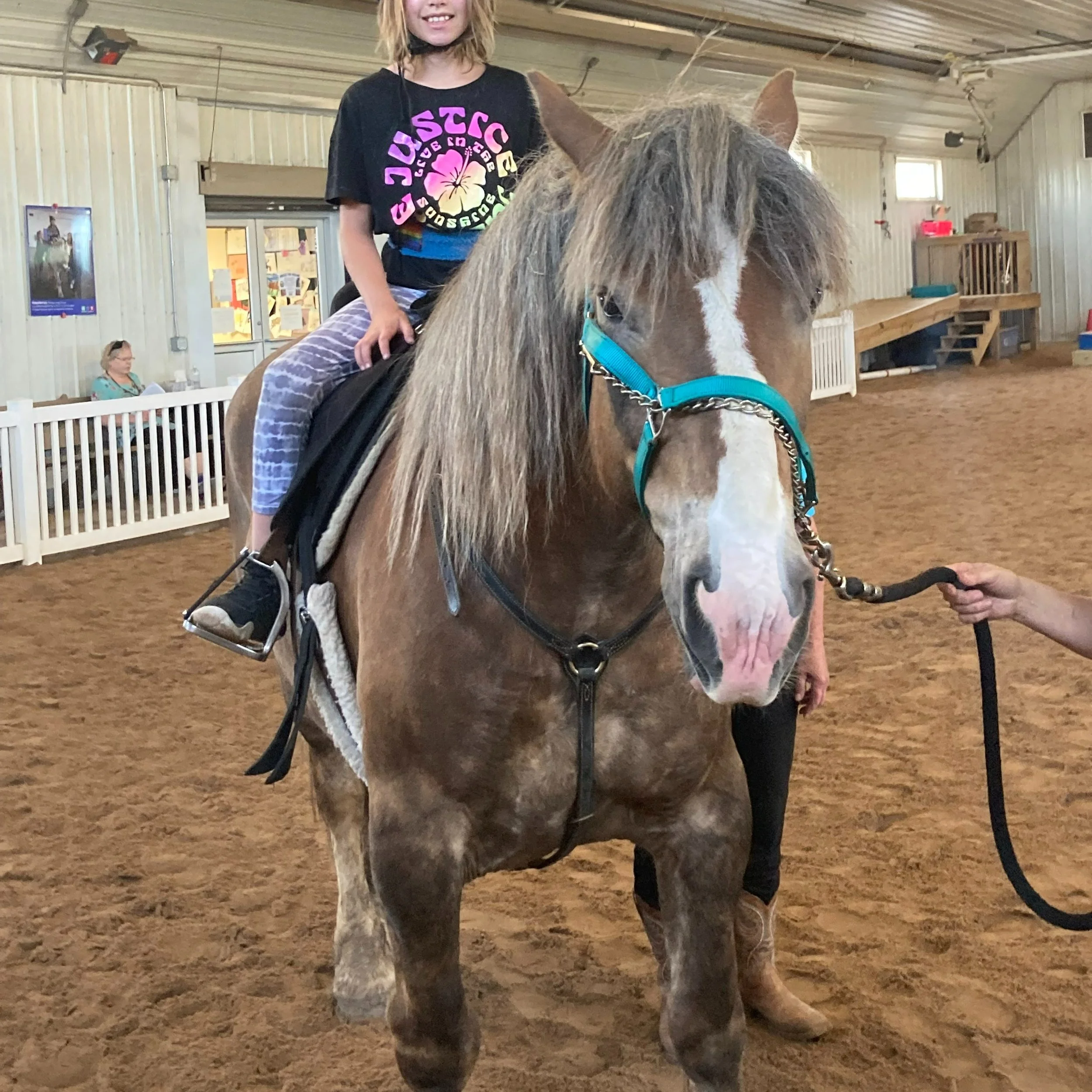 Meet Our Horses | Support Our Horses — Exceptional Equestrians