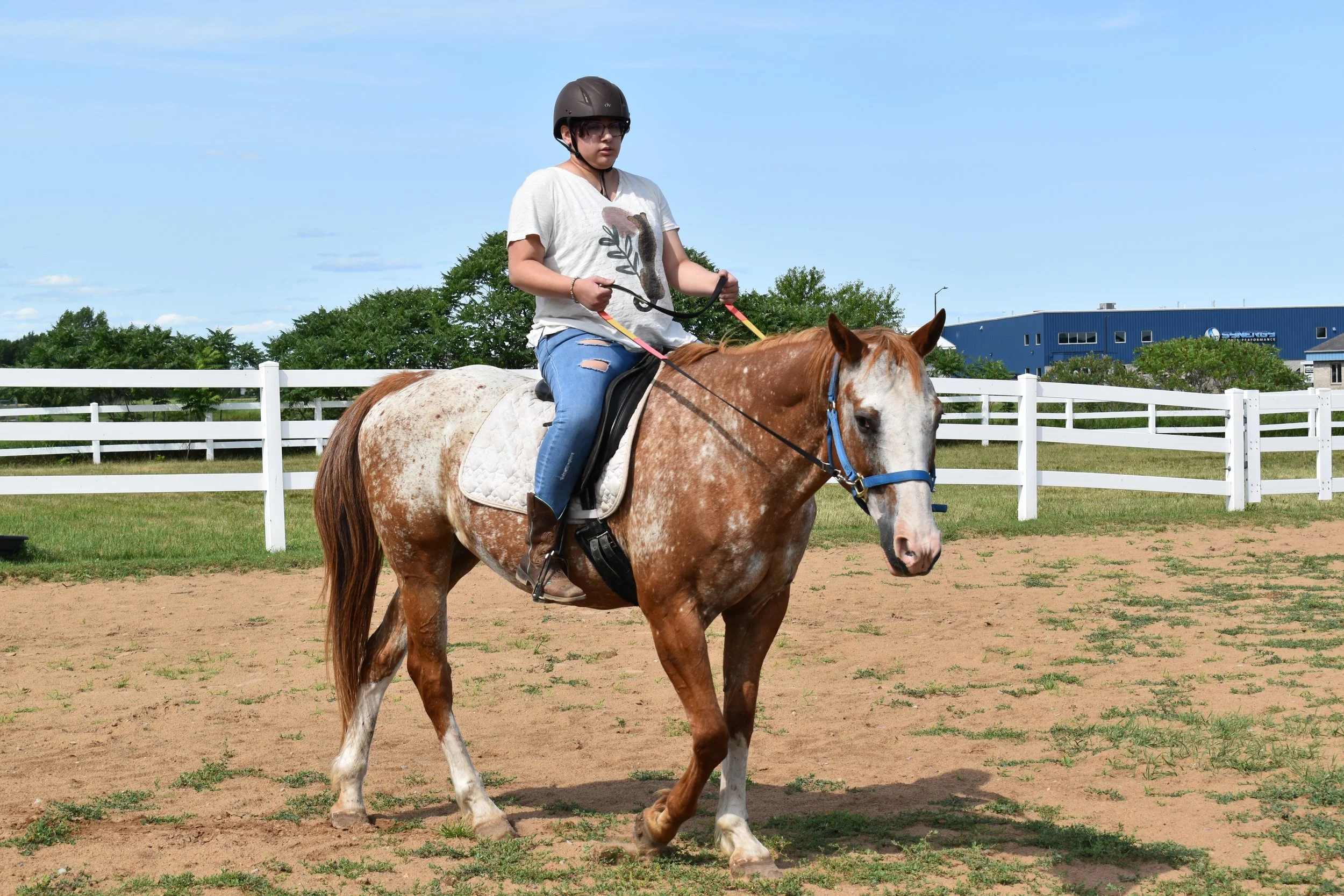 Adaptive Riding | Empower Through Riding — Exceptional Equestrians