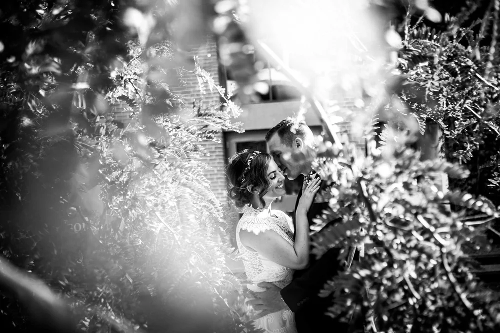 Ifong Chen Photography