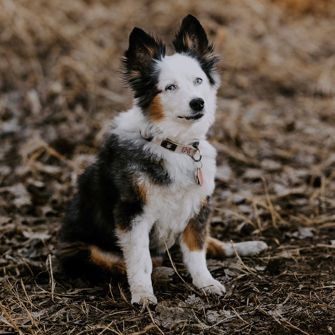 Our People — Morgridge Family Foundation