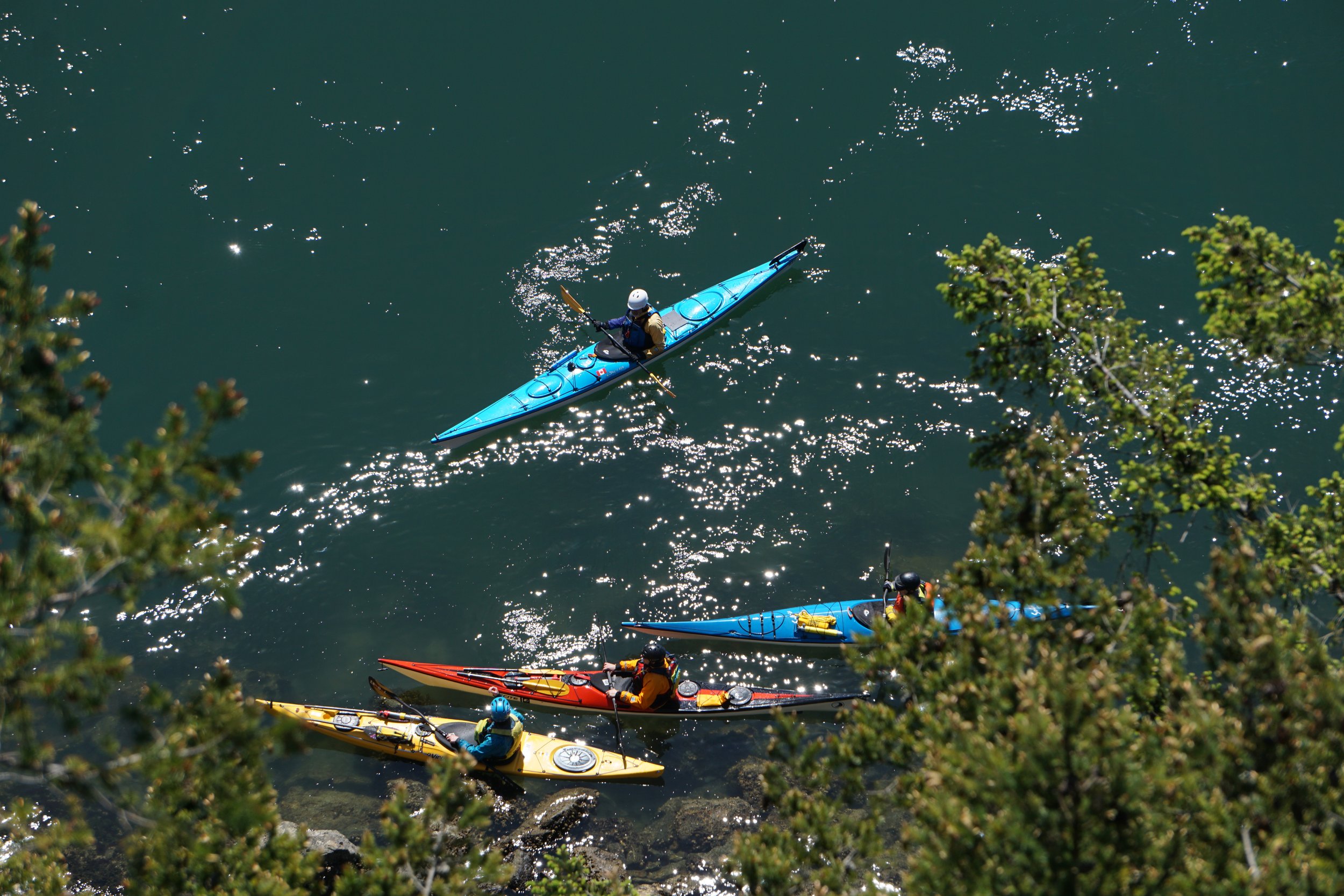 Meet Our World-Class Kayak Coaches — Body Boat Blade