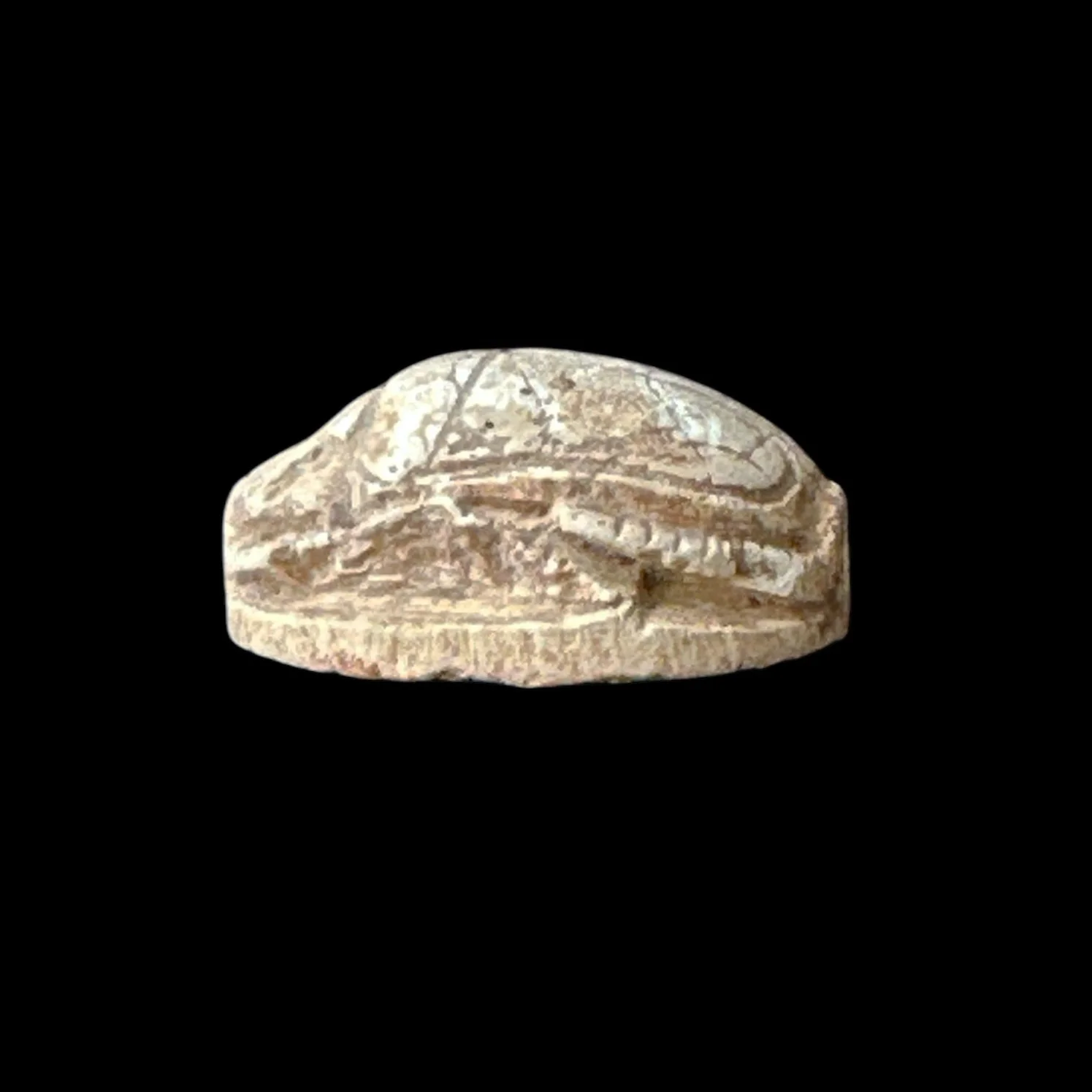 Scarab003 | Discover Ancient Egyptian Artifacts — Treasuregate Gallery