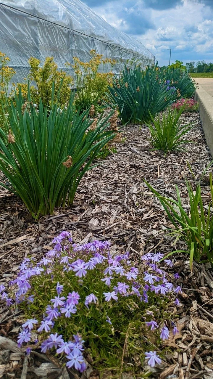 Planting the Garden of Eden at Eden Hall Campus — EHC Farm