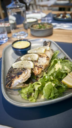 Book Now — Simply Greek