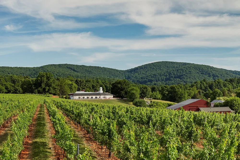 Barboursville Vineyards — Virginia Wine | Trade
