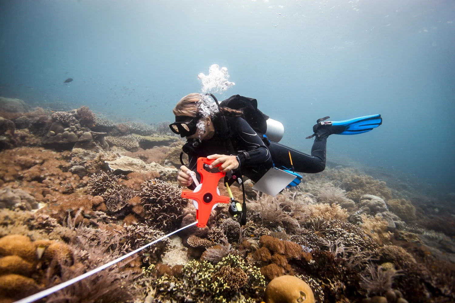 National Scientific Diving Institute