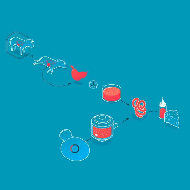 What is Cellular Agriculture? | Discover Sustainable Food Solutions ...