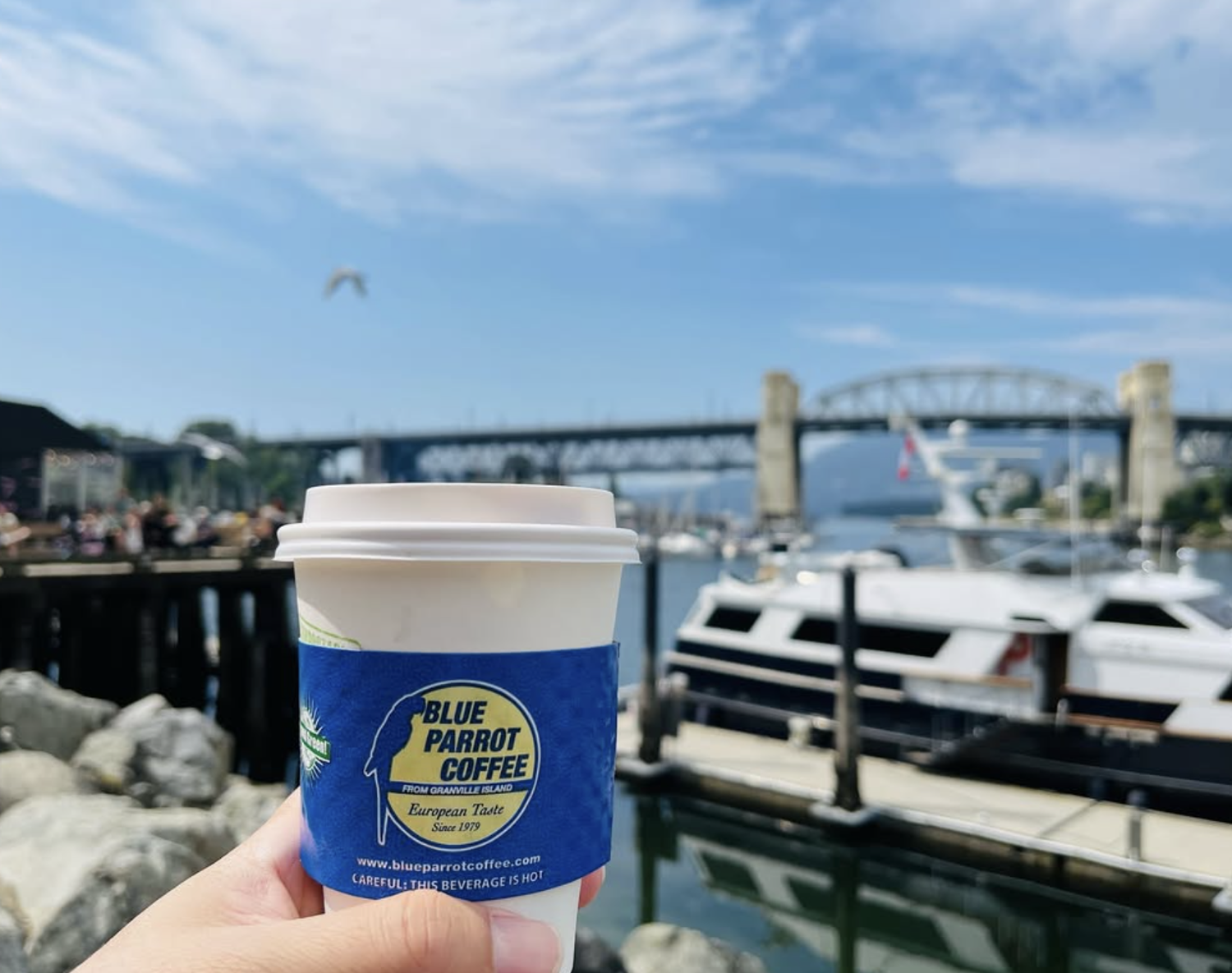 Blue Parrot Coffee | Experience Quality Coffee Today