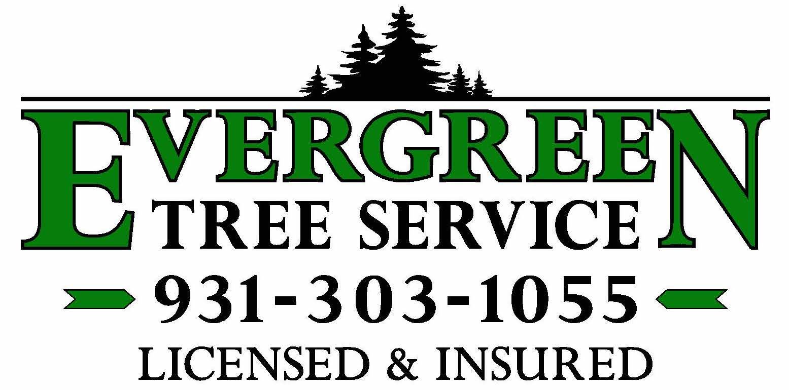 Evergreen Tree Service