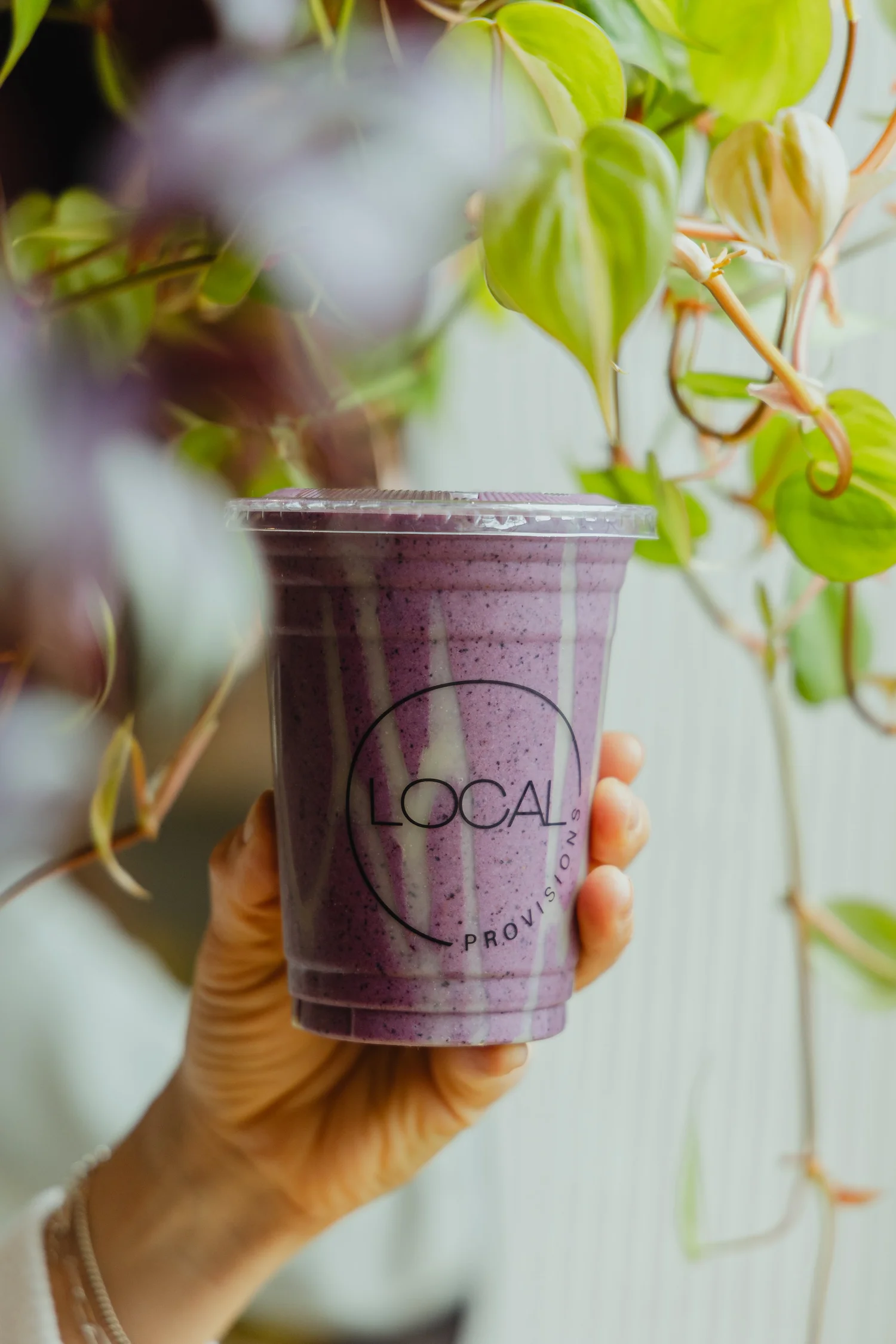LOCAL PROVISIONS | Natural Cafe - Juice, Smoothies, Sandwiches ...
