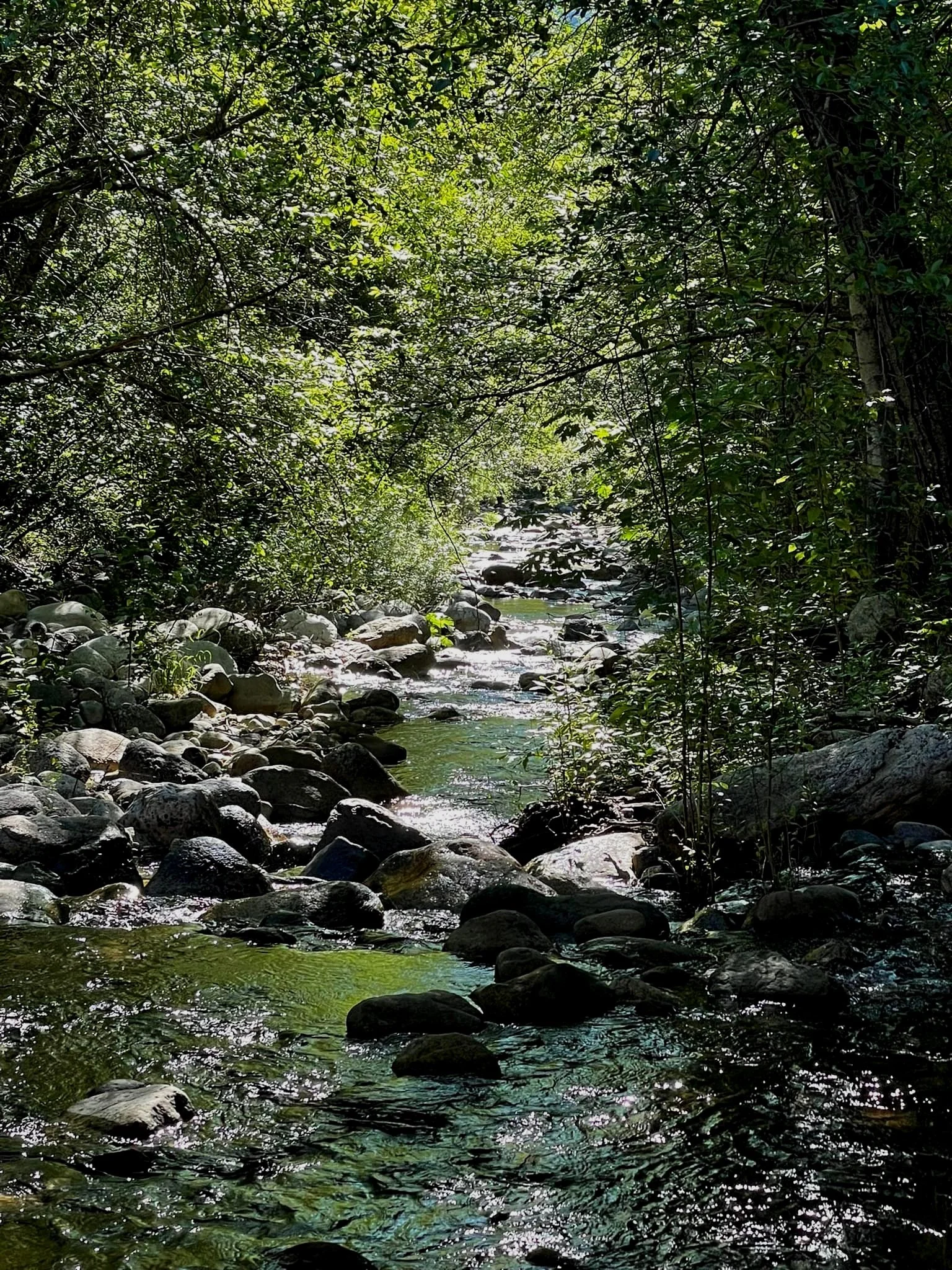 RVs & Camping | Explore & Book Your Adventure — Jubilee Railroad