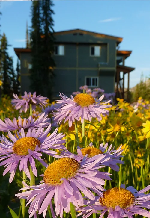 Summer — Sol Mountain Lodge – Experience the BC Monashees