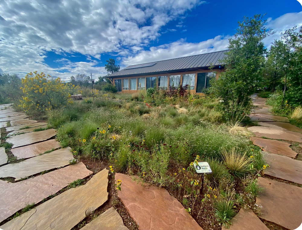 About Us - Willow Bend Environmental Education Center — Willow Bend ...