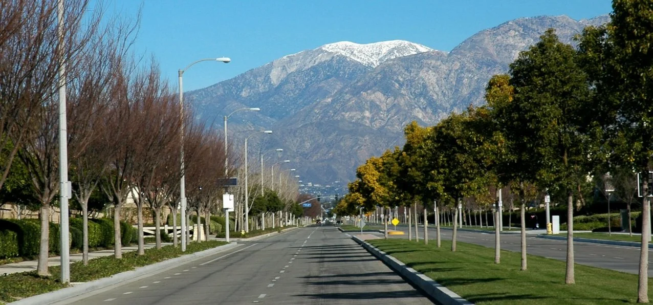 Premier Pest Control in Chino - Trust Us for Excellence — ProCraft Pest ...