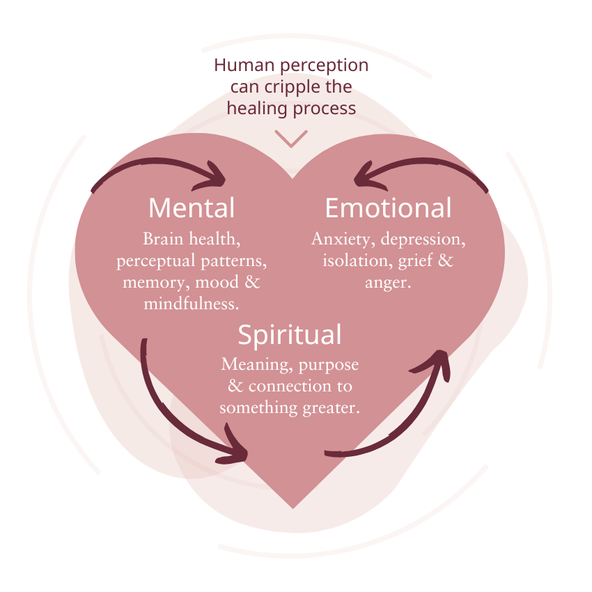 About Functional Medicine — North Pointe Medicine